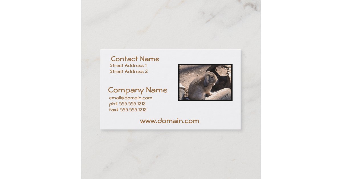 Cute Rabbit Business Card | Zazzle