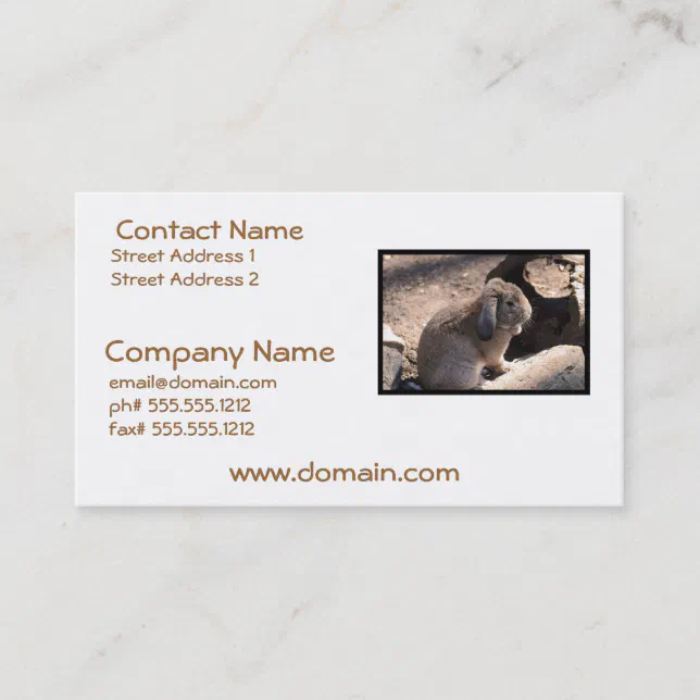 Cute Rabbit Business Card | Zazzle