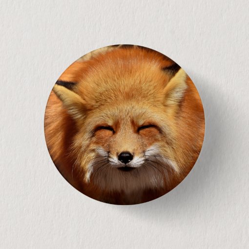 Cute Red Fox with Funny Squinting Eyes Button | Zazzle