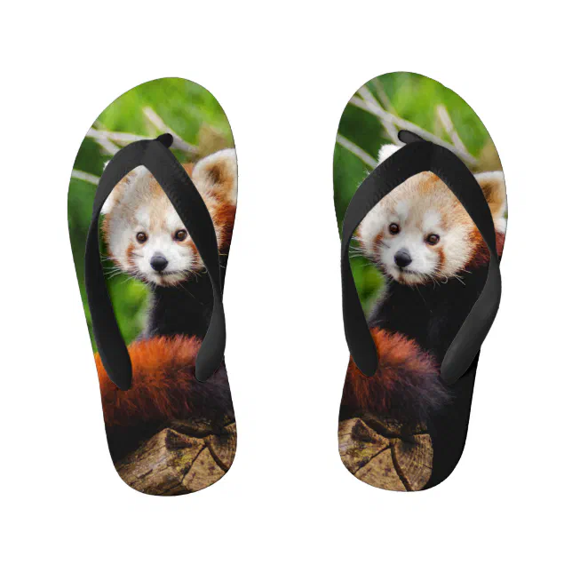 Cute Red Panda Bear Kid's Flip Flops | Zazzle