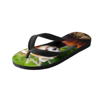 Cute Red Panda Bear Kid's Flip Flops | Zazzle