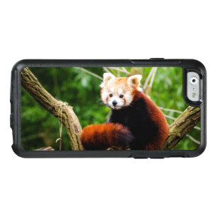 Panda iPhone Cases & Covers | Zazzle