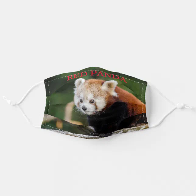 Cute Red Panda Wild Animal Adult Cloth Face Mask | Zazzle