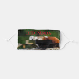 Cute Red Panda Wild Animal Adult Cloth Face Mask | Zazzle