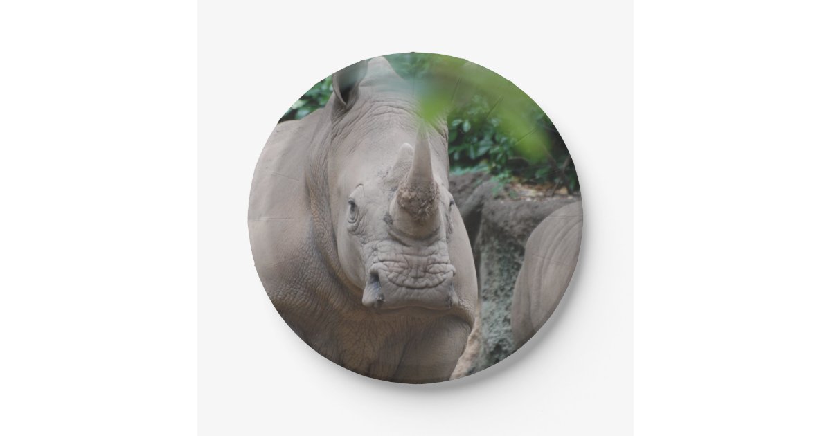 Cute Rhino Paper Plates | Zazzle
