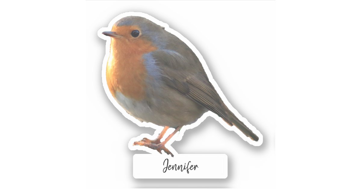 Cute Robin bird personalized custom cut Sticker | Zazzle