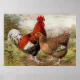Cute rooster and chicken Country kitchen Poster | Zazzle