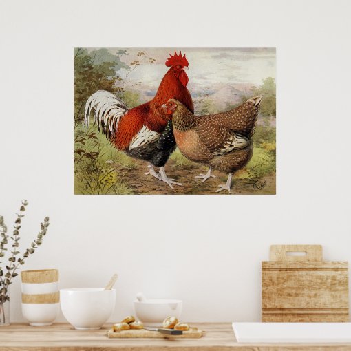 Cute rooster and chicken Country kitchen Poster | Zazzle