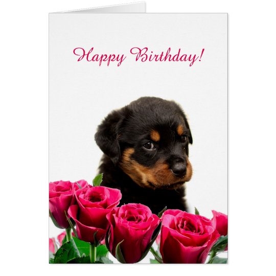 Cute Rottweiler Puppy Red Roses Happy Birthday Card | Zazzle.com