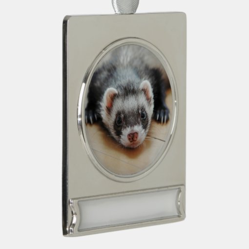 Cute Sable Ferret Silver Plated Banner Ornament | Zazzle