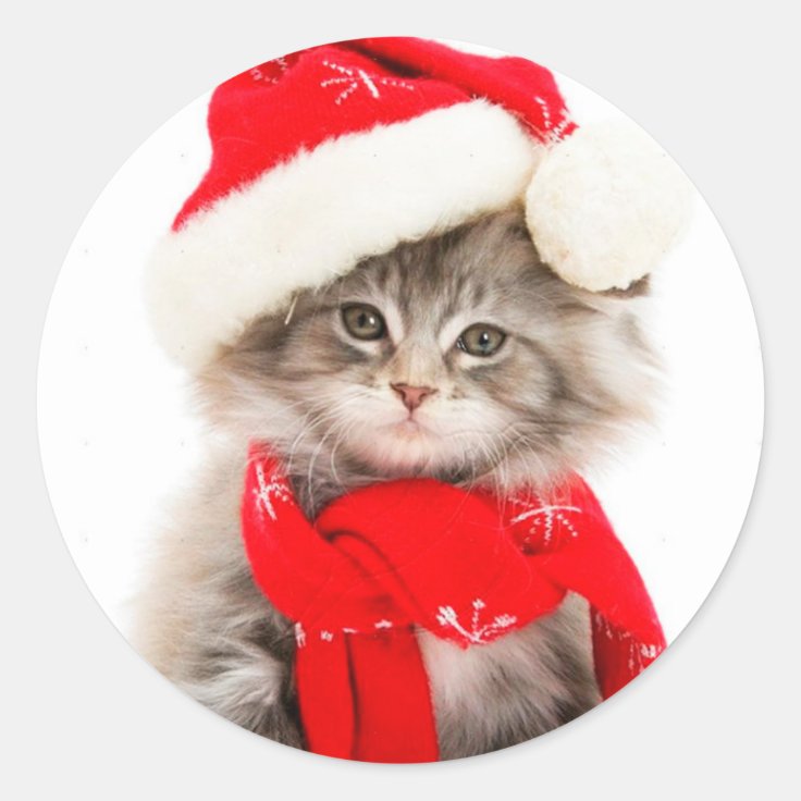 Cute Santa Kitty Classic Round Sticker | Zazzle