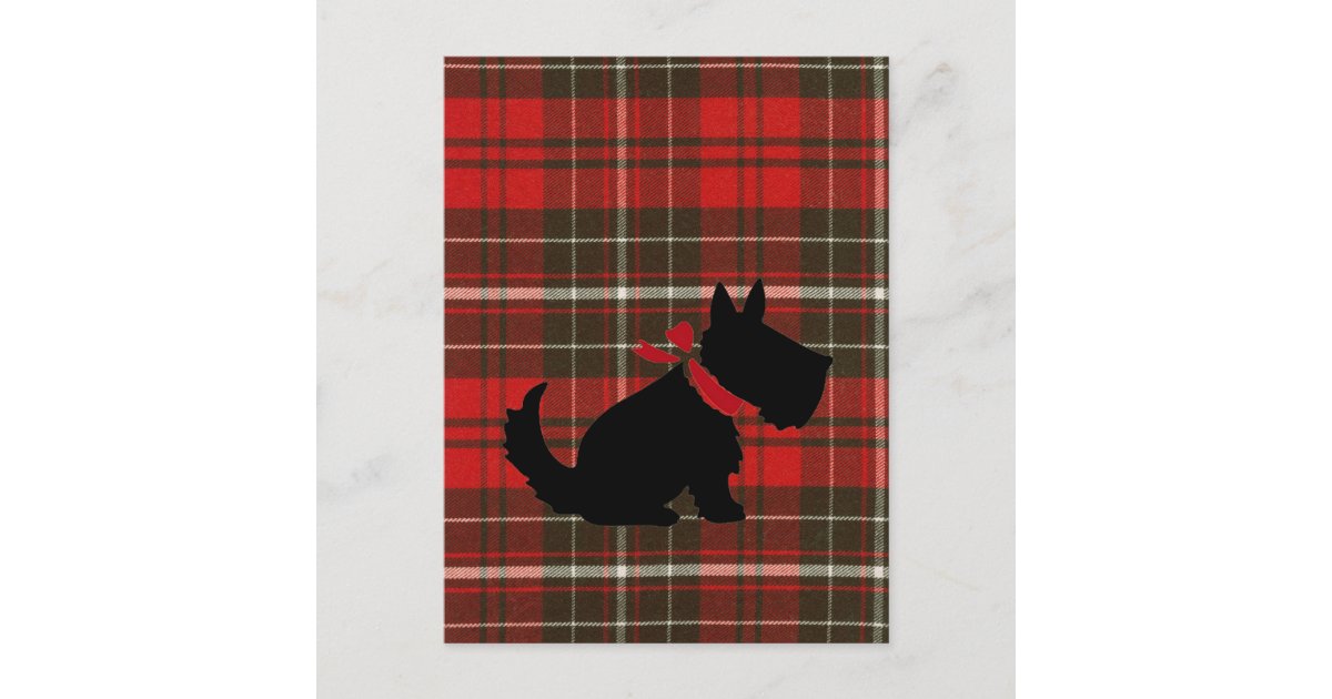 Cute Scotty Dog & Red Tartan Postcard | Zazzle
