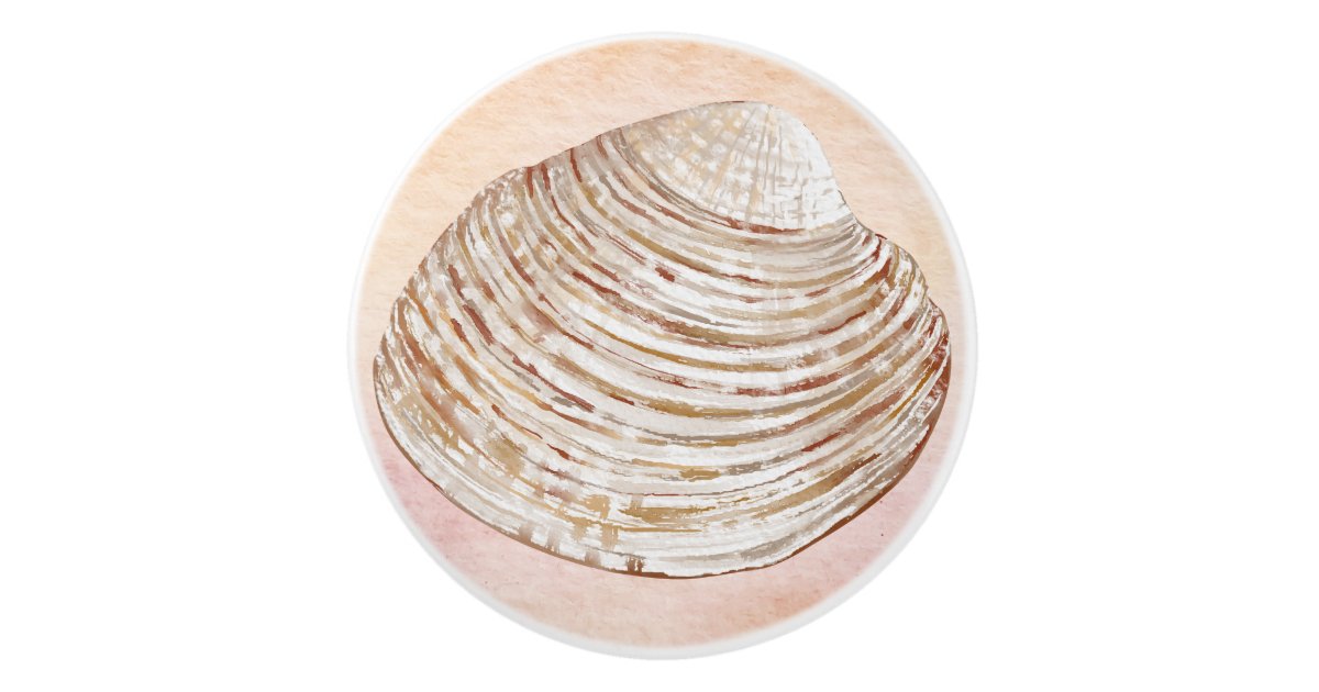 Cute seashell living in the ocean Watercolor art Ceramic Knob | Zazzle