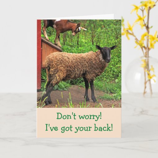 Cute Sheep And Goat Get Well Card | Zazzle