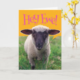 Cute Sheep Saying Hey Ewe! Happy Birthday Card | Zazzle