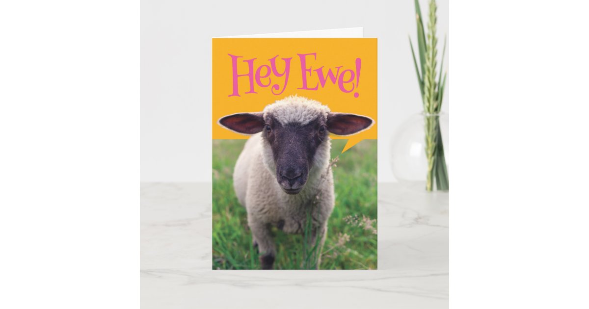 Cute Sheep Saying Hey Ewe! Happy Birthday Card | Zazzle