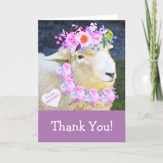 Cute Sheep Thank You Card | Zazzle.com