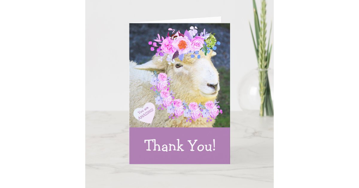 Cute Sheep Thank You Card | Zazzle