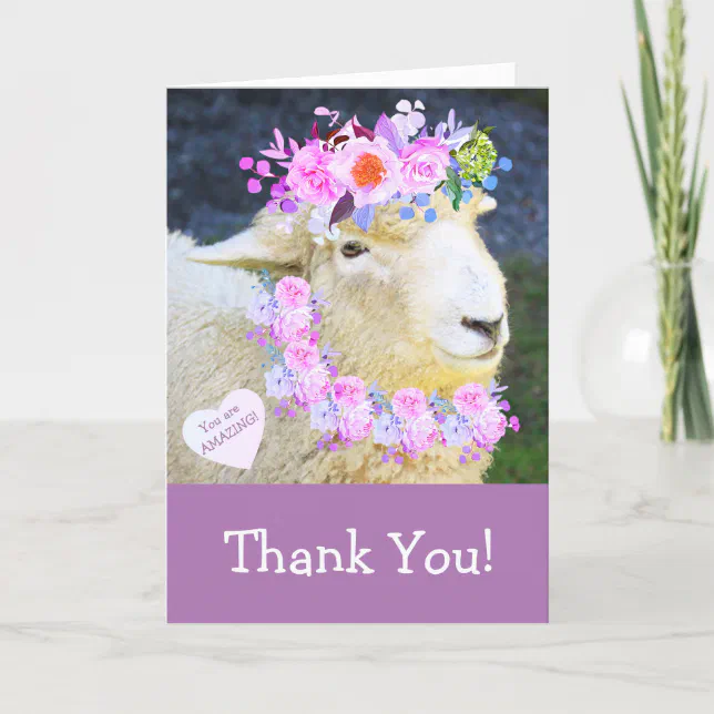 Cute Sheep Thank You Card | Zazzle