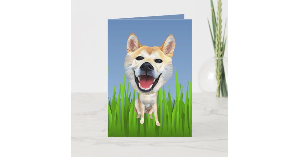 Cute Shiba Inu Dog Greeting Card | Zazzle