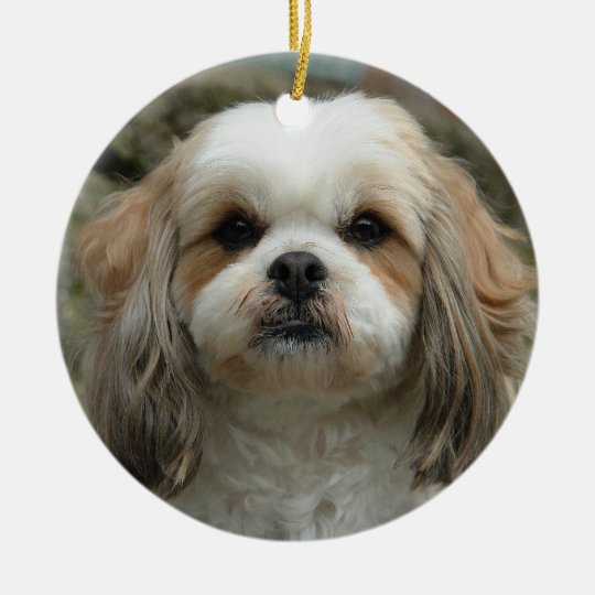 Cute Shih Tzu Christmas Ornament | Zazzle.com