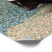 Cute Skunk Poster | Zazzle