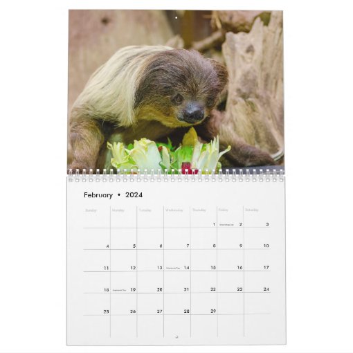 Cute Sloth Pictures | Adorable Sloth Photos Calendar | Zazzle