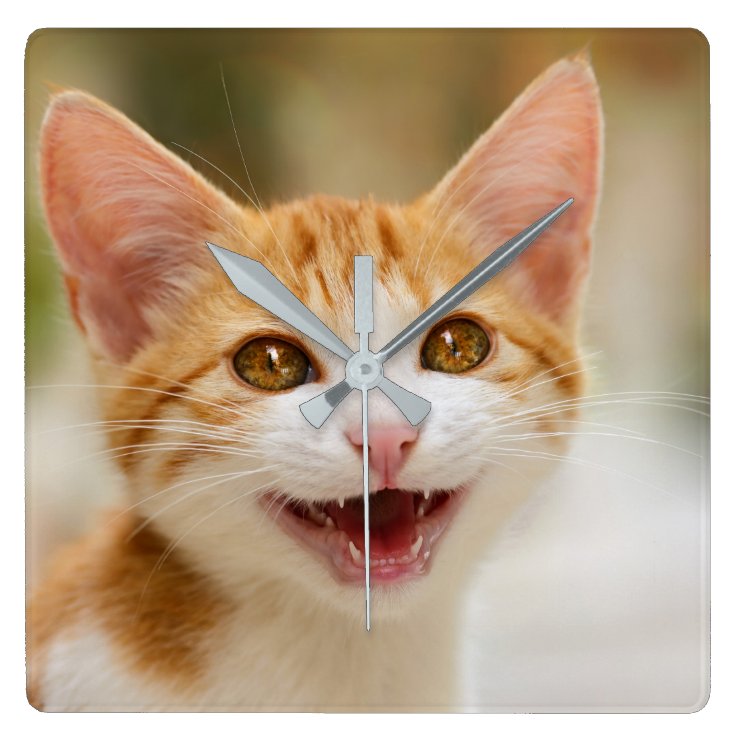 Cute Smiling Kitten Face Funny Cat Meow Photo Square Wall Clock | Zazzle
