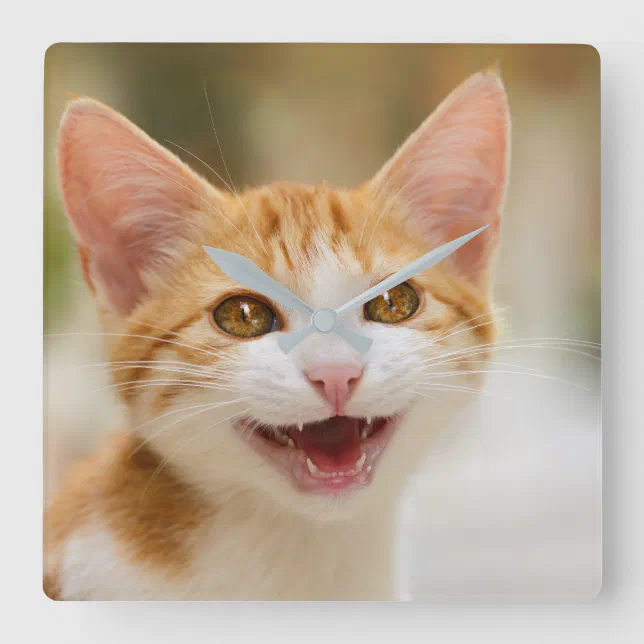 Cute Smiling Kitten Face Funny Cat Meow Photo Square Wall Clock | Zazzle