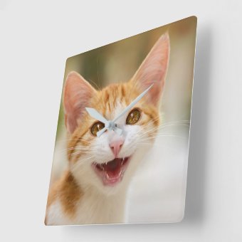 Cute Smiling Kitten Face Funny Cat Meow Photo Square Wall Clock | Zazzle