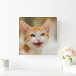 Cute Smiling Kitten Face Funny Cat Meow Photo Square Wall Clock | Zazzle