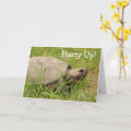 Cute Snapping Turtle Get Well Card | Zazzle