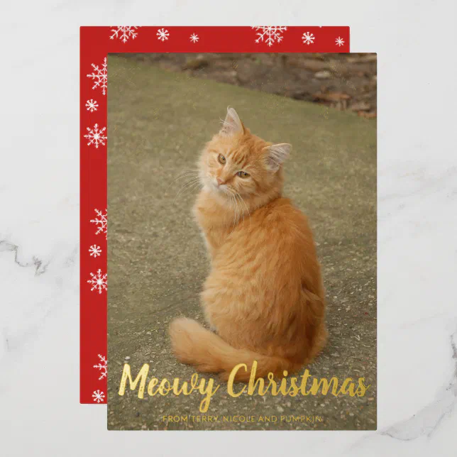 Cute Snowflakes Cat Photo Meowy Christmas Gold Foil Holiday Card | Zazzle