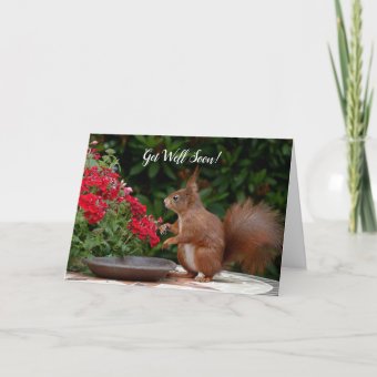 Cute Squirrel Custom Get Well Greeting Card | Zazzle