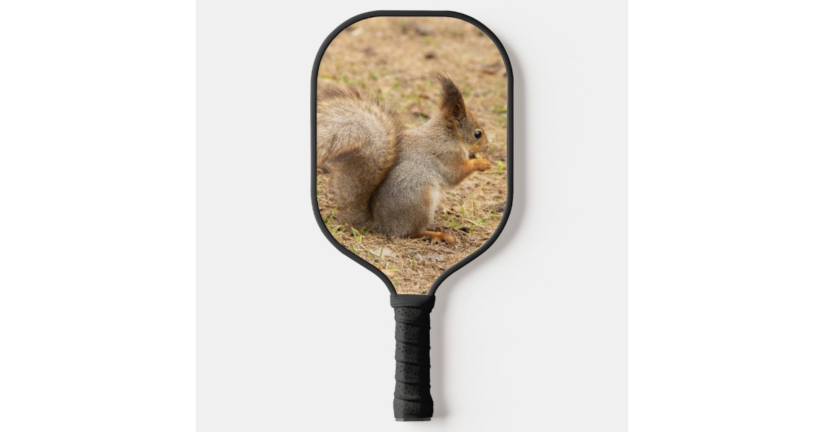 Cute squirrel eats a nut photo pickleball paddle | Zazzle