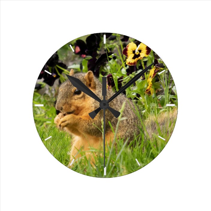 Cute Squirrel & Pansies Photo Round Clock | Zazzle.com