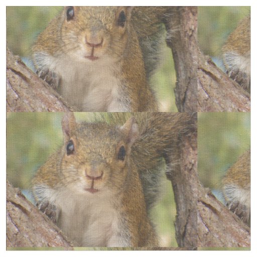 Cute squirrel pattern on material. fabric | Zazzle