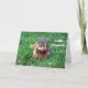 Cute Squirrel Peanut Photo Sympathy Card | Zazzle