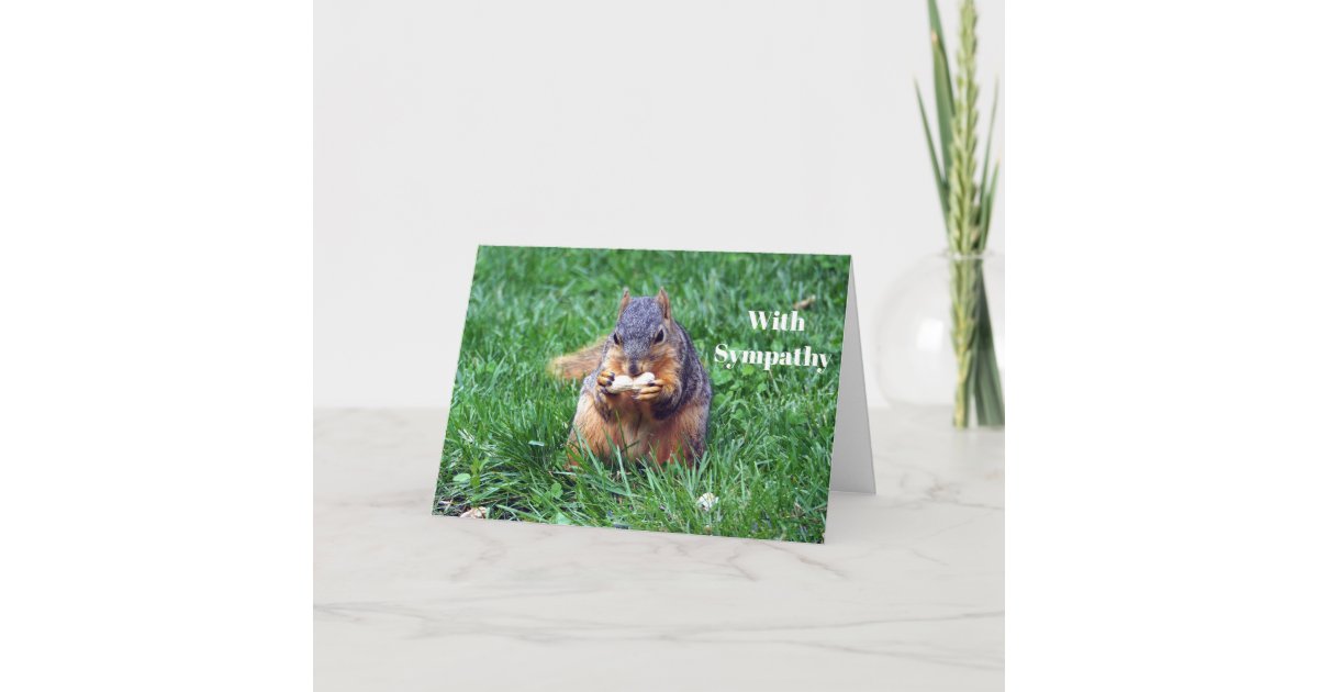 Cute Squirrel Peanut Photo Sympathy Card | Zazzle