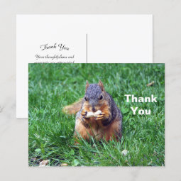 Cute Squirrel Peanut Photo Thank You Postcard | Zazzle