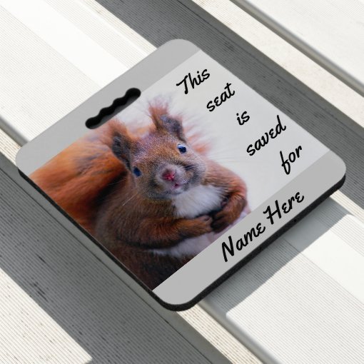 Cute Squirrel Seat Cushion | Zazzle