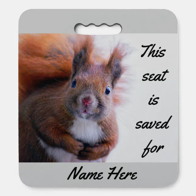 Cute Squirrel Seat Cushion | Zazzle