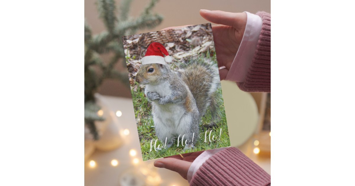 Cute Squirrel Wearing Red Santa Cap Holiday | Zazzle