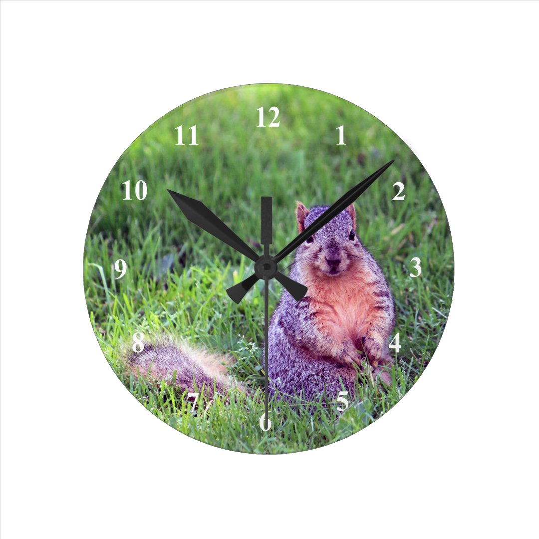 Cute Squirrel Wildlife Photo Round Clock | Zazzle
