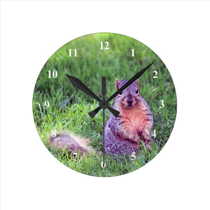Cute Squirrel Wildlife Photo Round Clock | Zazzle