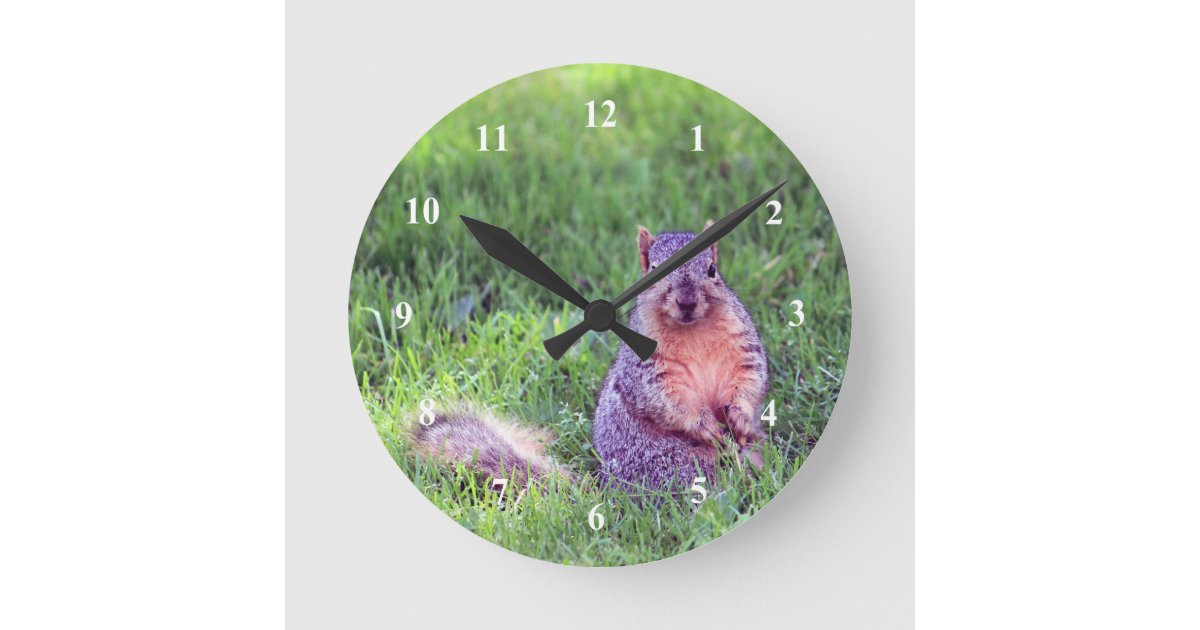Cute Squirrel Wildlife Photo Round Clock | Zazzle