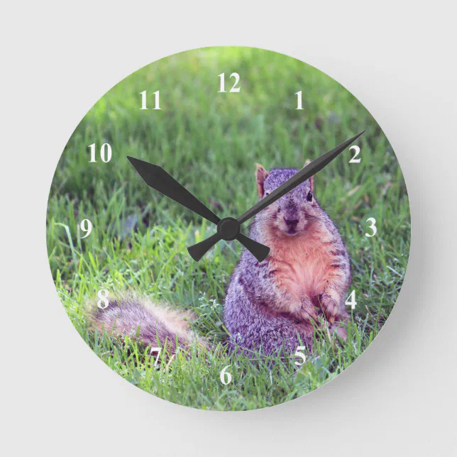 Cute Squirrel Wildlife Photo Round Clock | Zazzle