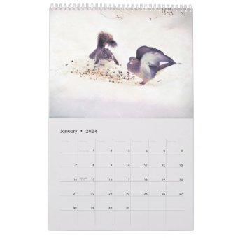Cute Squirrels and Chipmunks Funny Animal Photos Calendar | Zazzle