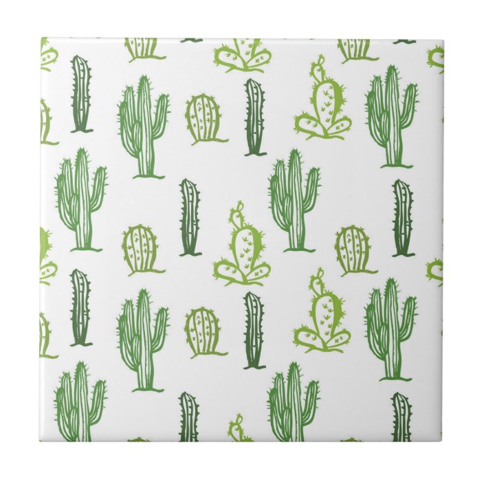 Cute Succulent Lovely Cactus Decorative Tile | Zazzle.com