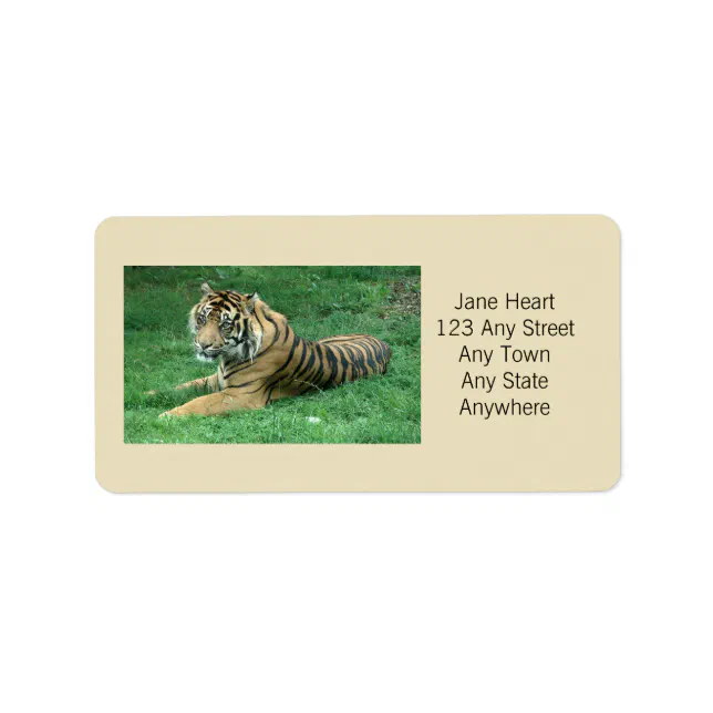 Cute Sumatran Tiger In The Grass Avery Label | Zazzle